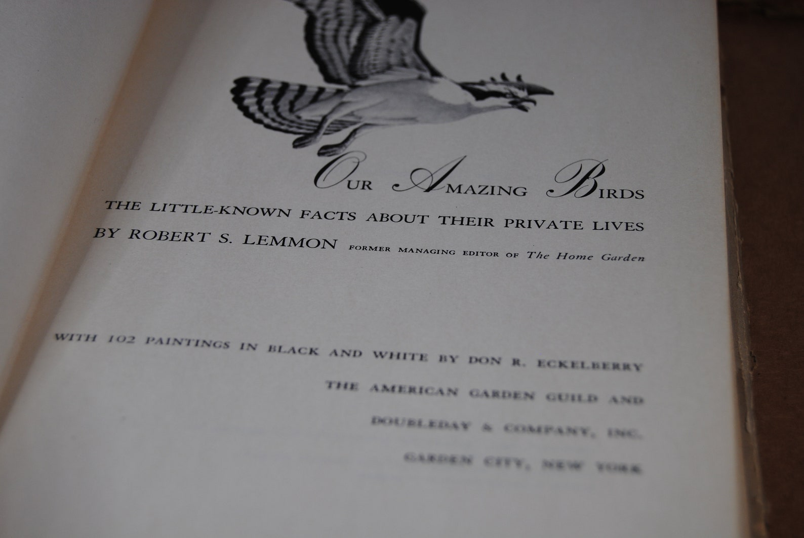 1952 Book Club Edition of Our Amazing Birds: the Little Known | Etsy