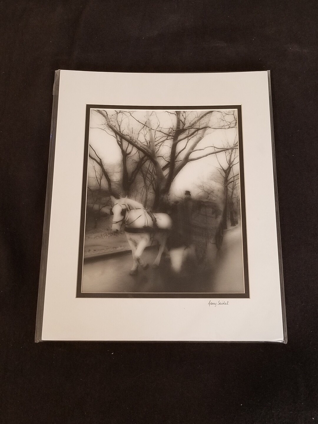 Garry Seidel Signed Photograph "horse and Carriage" Gelatin Process 11 ...