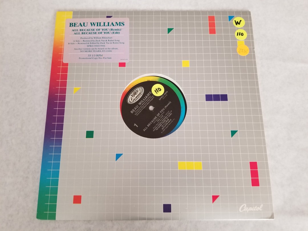 Beau Williams All Because of You (remix) (edit) Record / LP / Vinyl ...