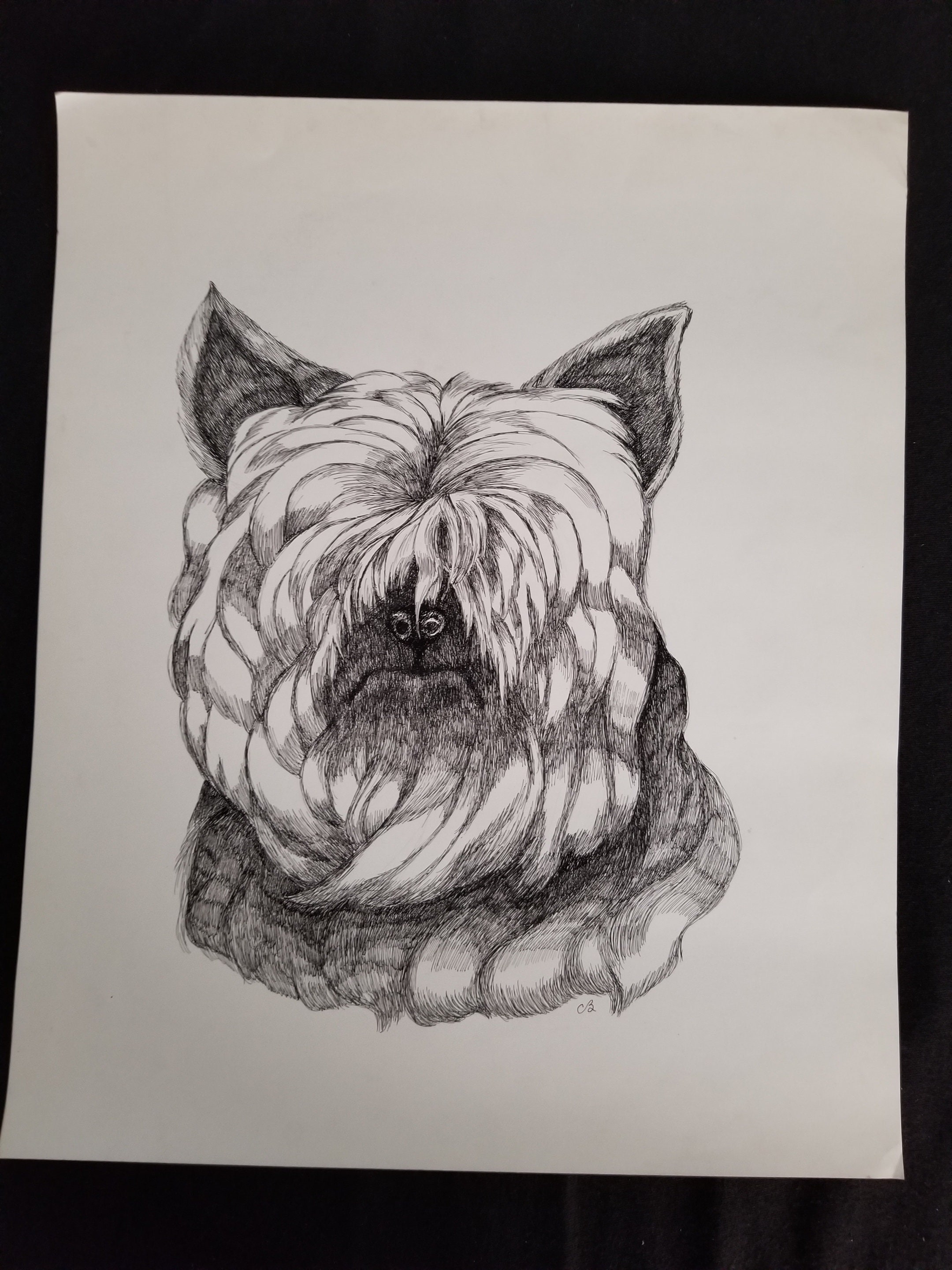 Original Pen and Ink Dog by Artist B - 14" X 17" - Wonderfully Detailed ...