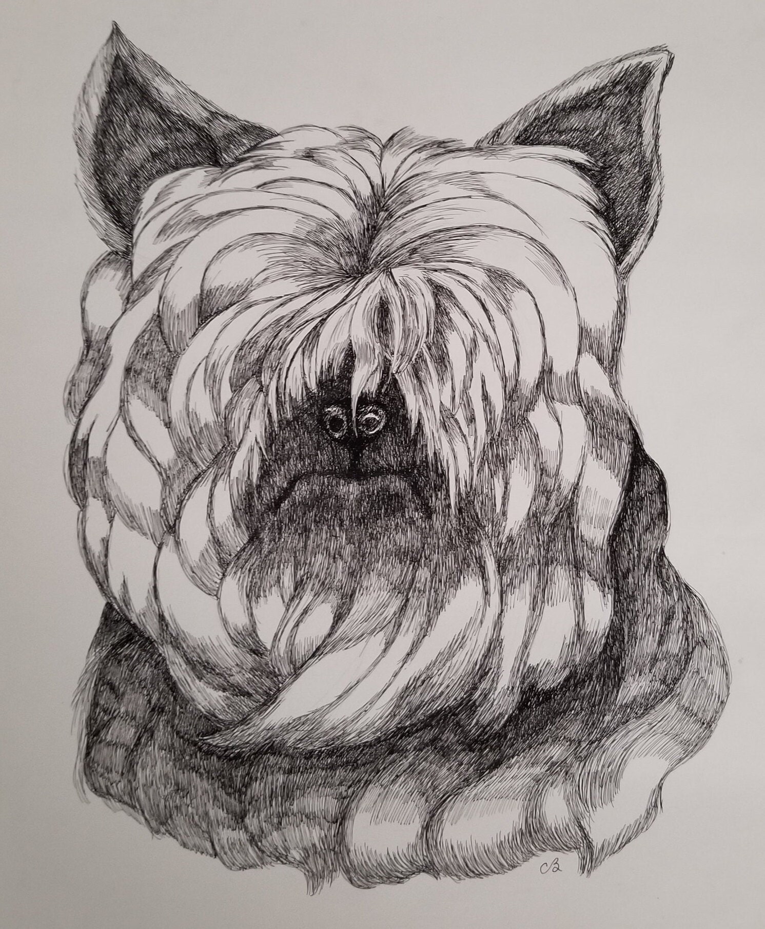 Original Pen and Ink Dog by Artist B 14 X 17 - Etsy UK