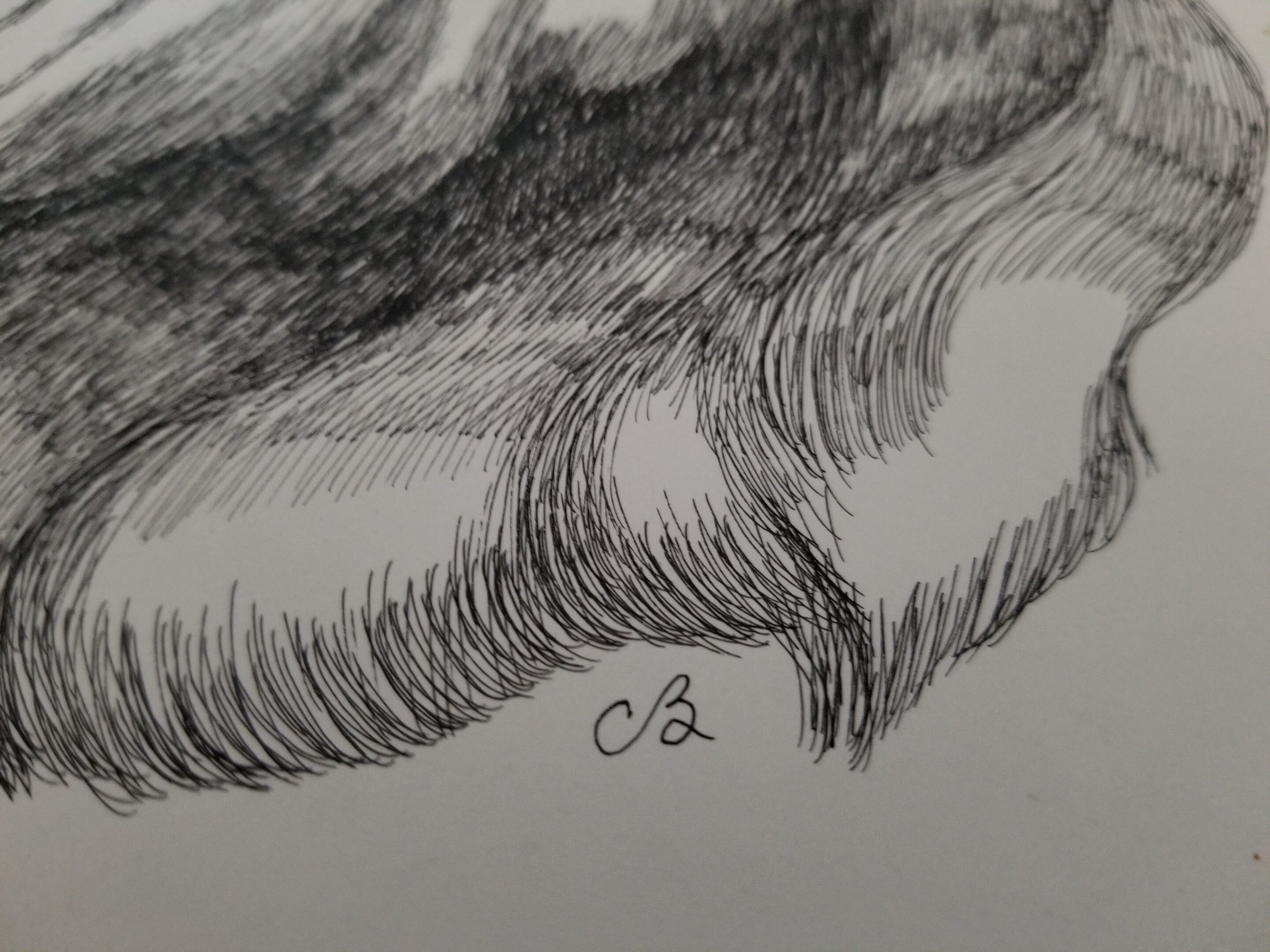 Original Pen and Ink Dog by Artist B - 14" X 17" - Wonderfully Detailed ...