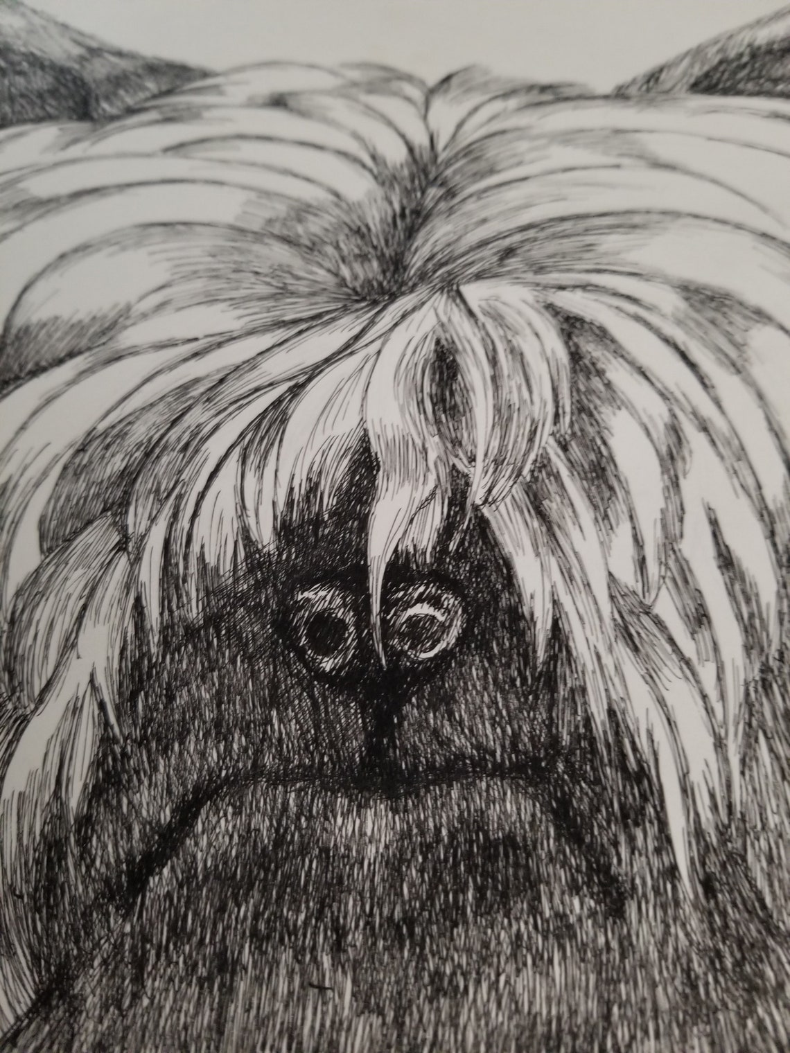 Original Pen and Ink Dog by Artist B 14 X 17 - Etsy UK