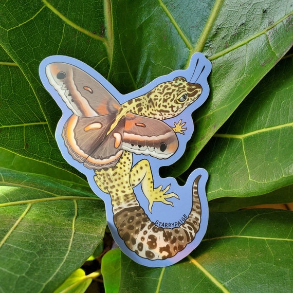 Fairy Leopard Gecko With Cecropia Moth Wings Vinyl Sticker | Etsy