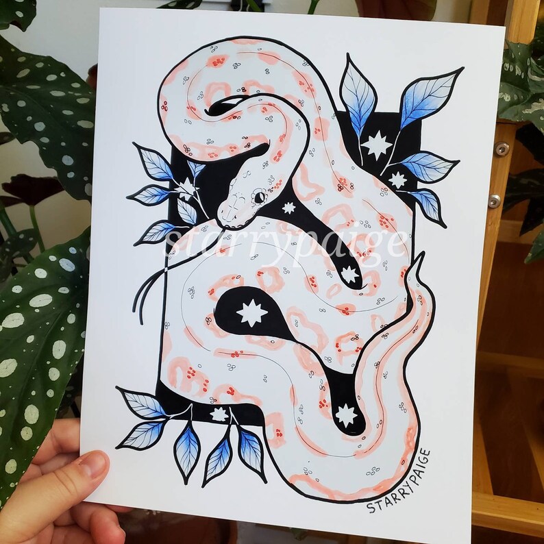 PRINT Albino Ball Python Snake Art Reptile Artwork - Etsy