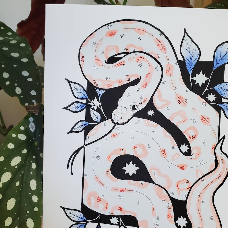 PRINT Albino Ball Python Snake Art Reptile Artwork - Etsy