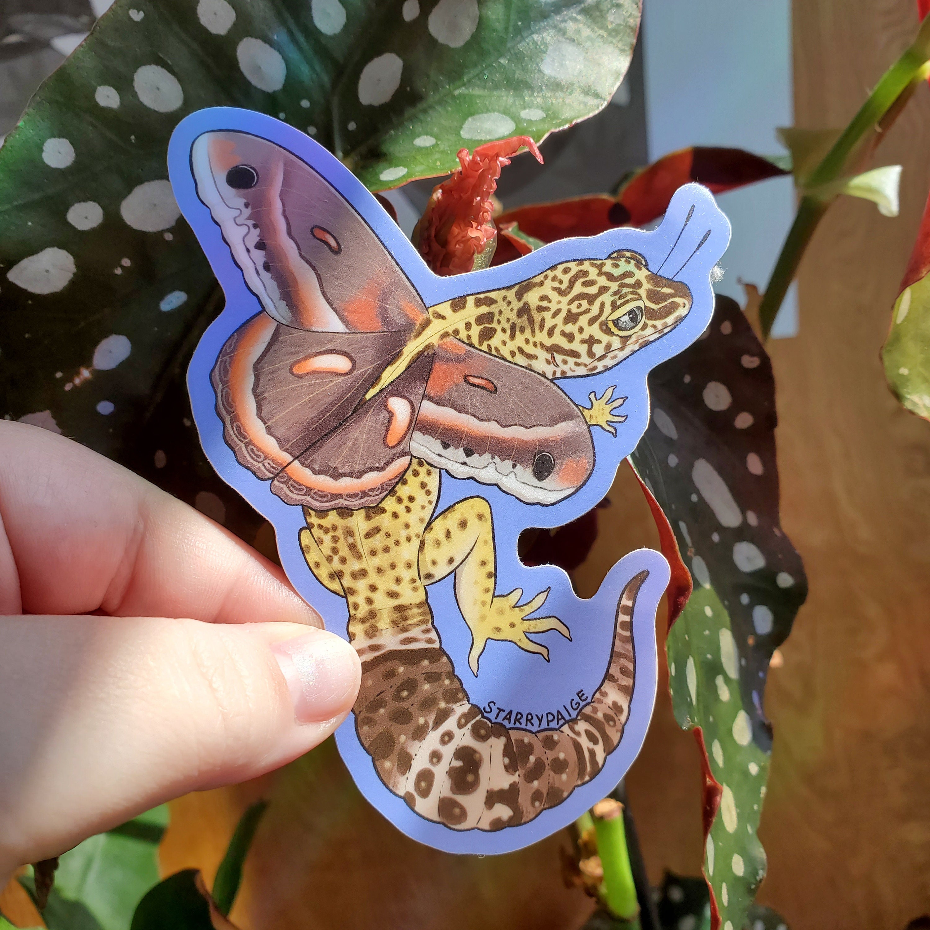 Fairy Leopard Gecko With Cecropia Moth Wings Vinyl Sticker Reptile ...