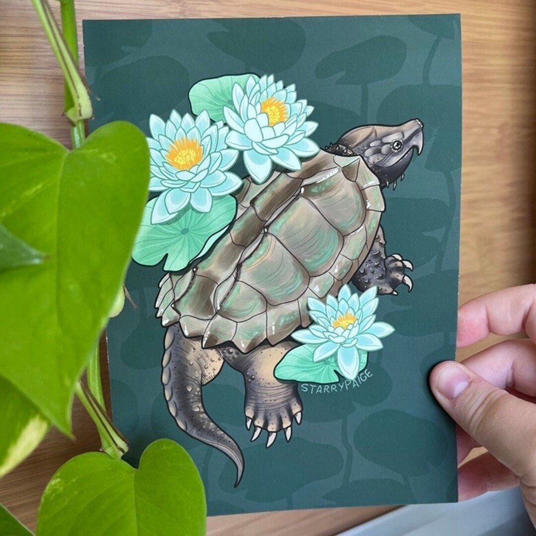 LE Alligator Snapping Turtle With Water Lilies GICLÉE Art Print - Etsy
