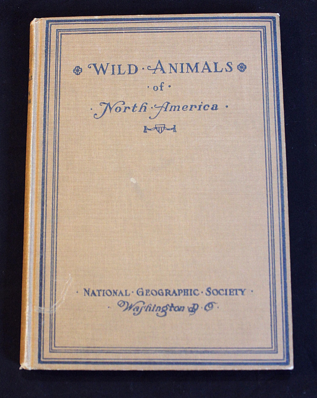 Wild Animals of North America by Edward W Nelson 1918 Color and B/W ...