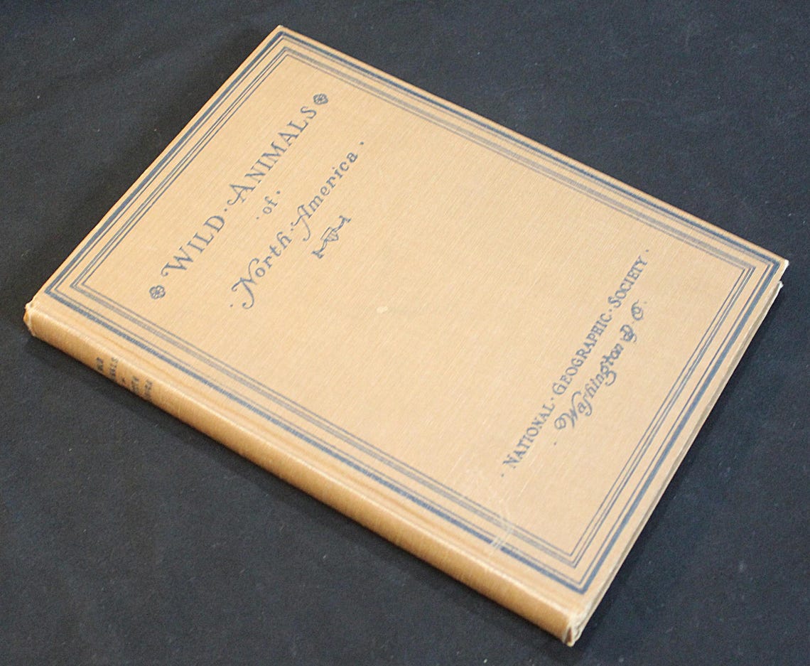 Wild Animals of North America by Edward W Nelson 1918 Color and B/W ...