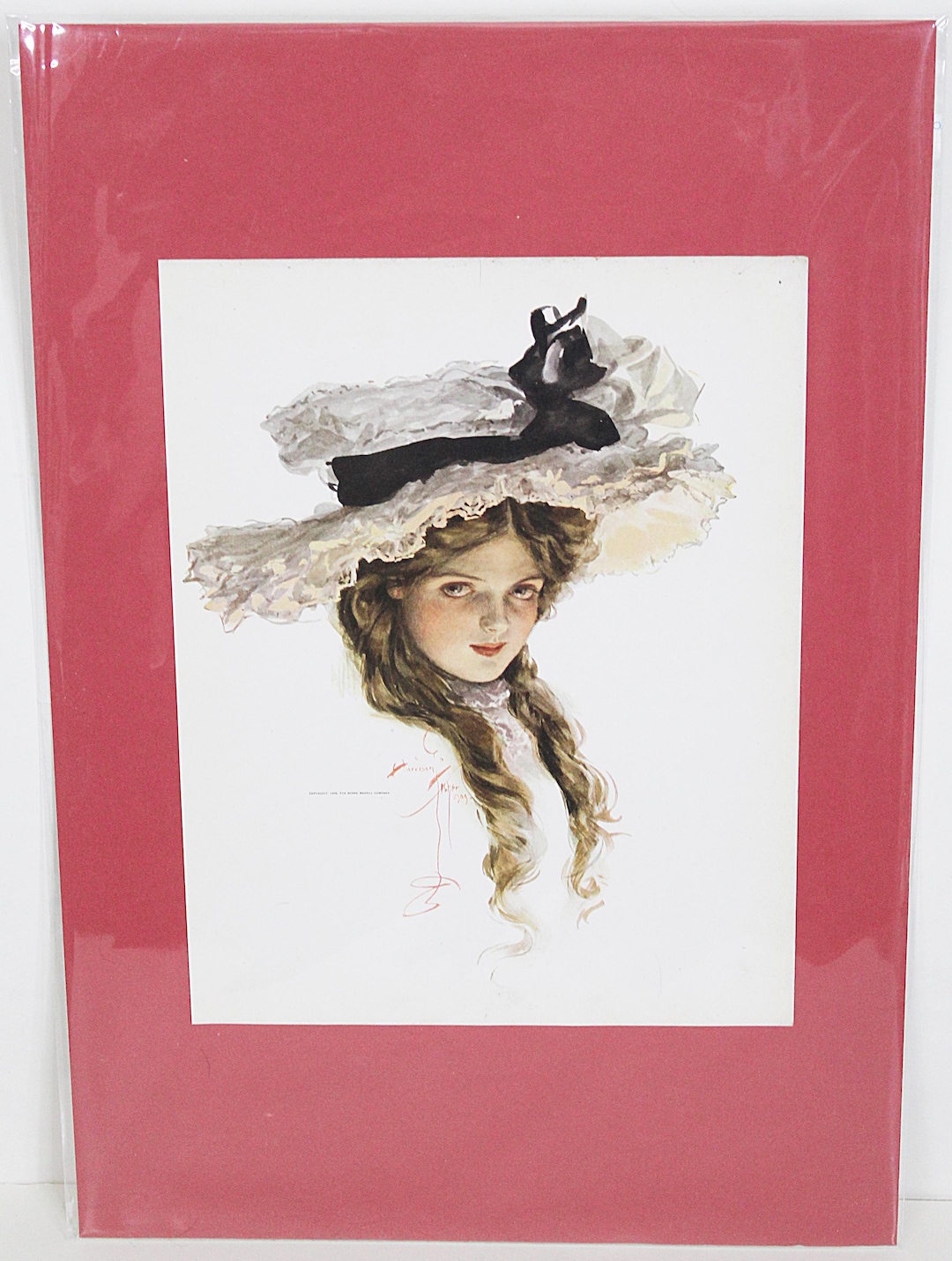 1909 Harrison Fisher Pretty Girl Print Color Lithograph Beautiful Hat ...