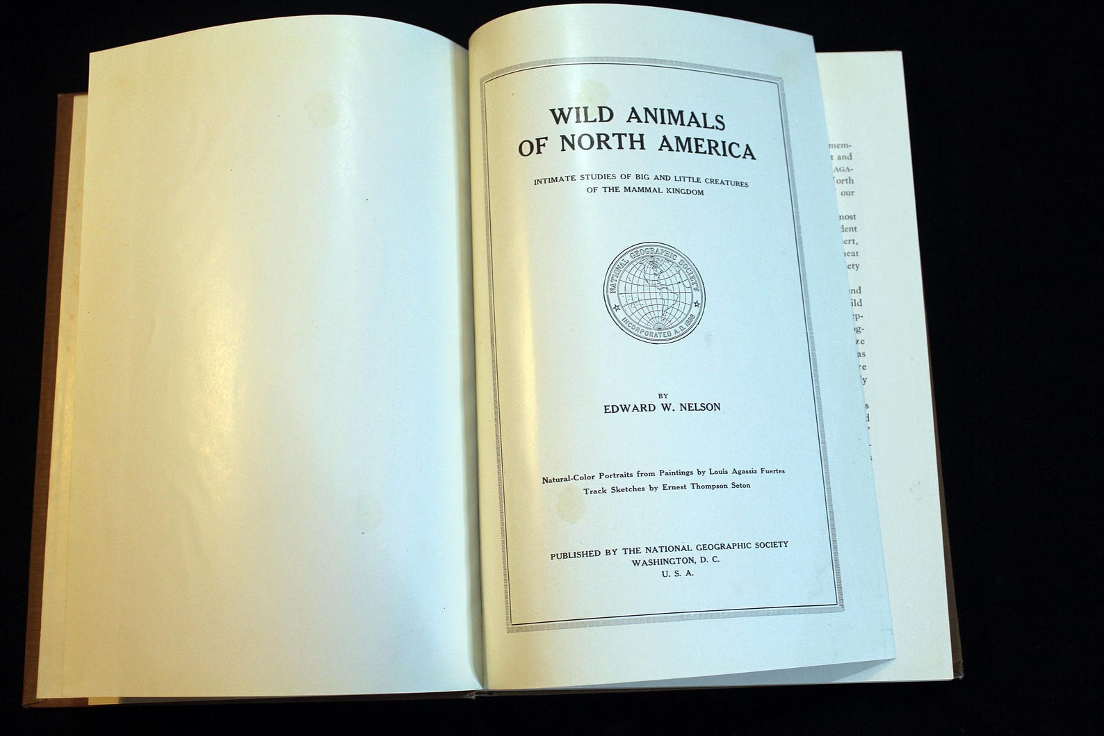 Wild Animals of North America by Edward W Nelson 1918 Color and B/W ...