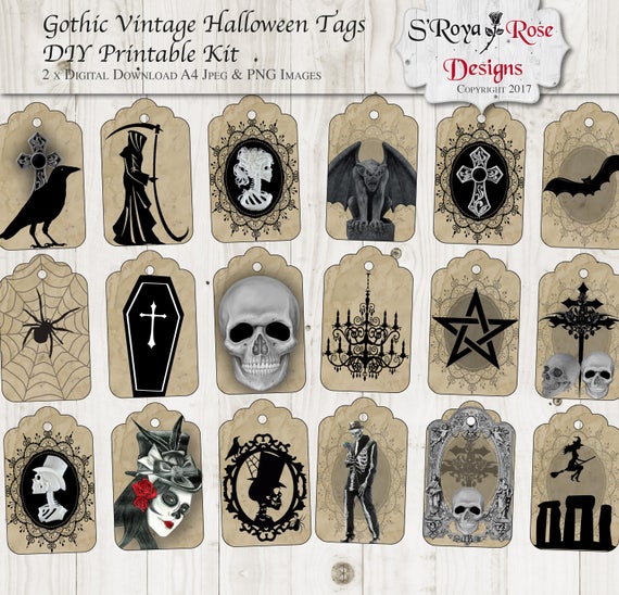 freeloadscube - Blog