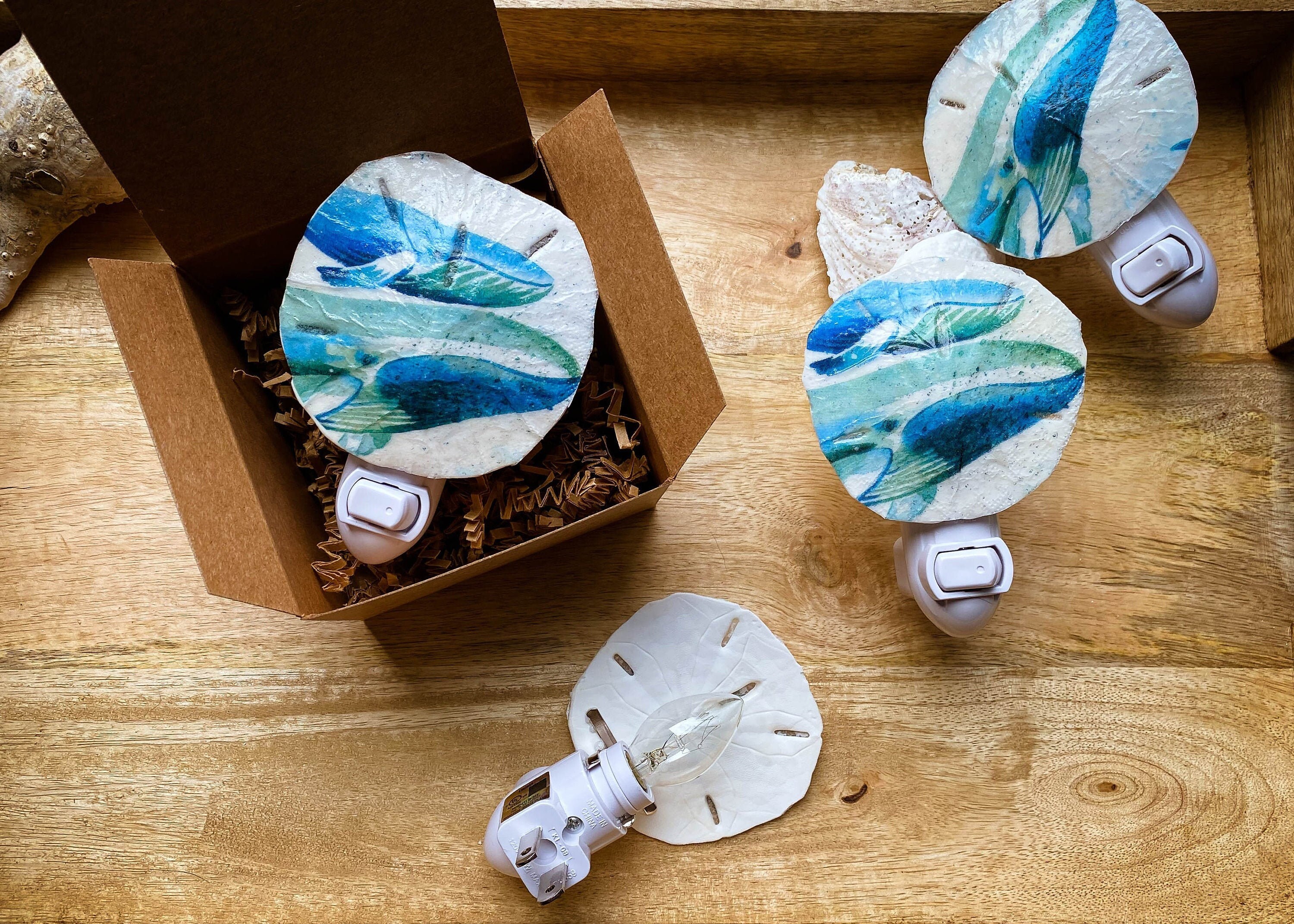 Whale Sand Dollar Plug in Night Light - Etsy