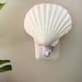 Scallop Shell Plug in Night Light - Etsy
