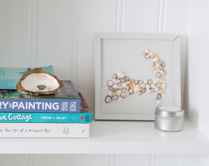 Cape Cod Shaped Shell Wall Decor 8" X 8" - Etsy