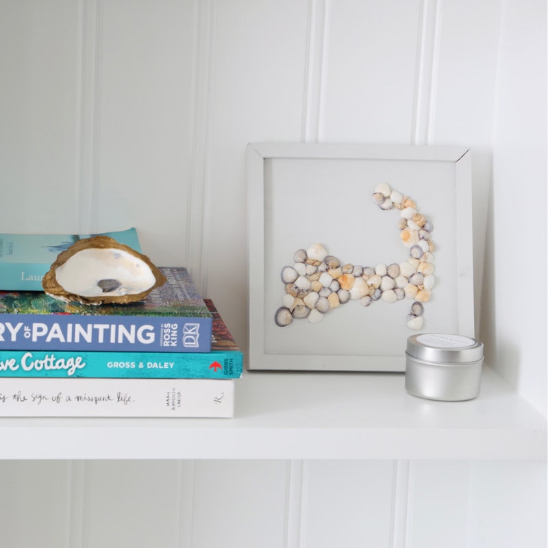 Shell Wall Decor - Etsy