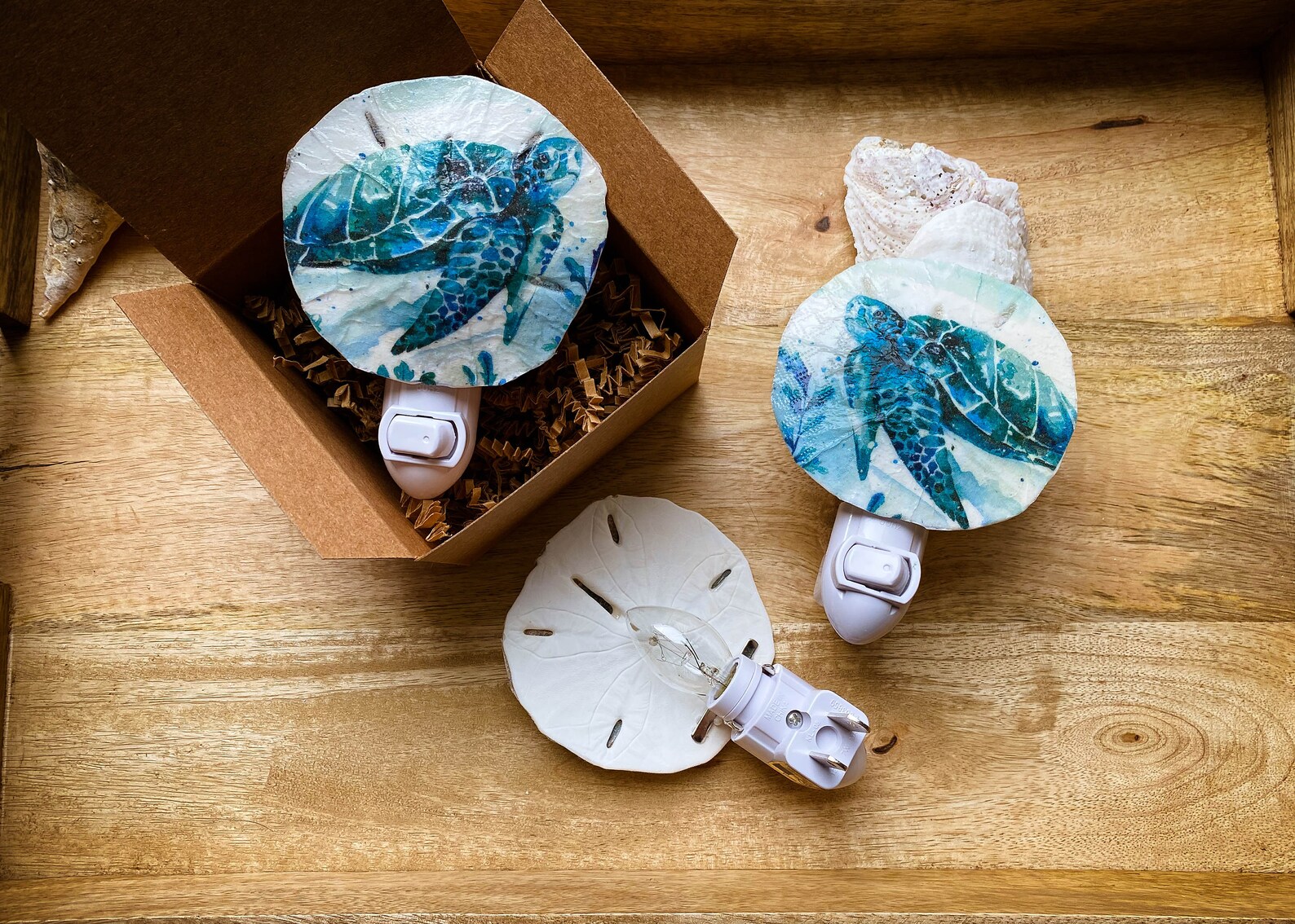 Sea Turtle Sand Dollar Plug in Night Light - Etsy