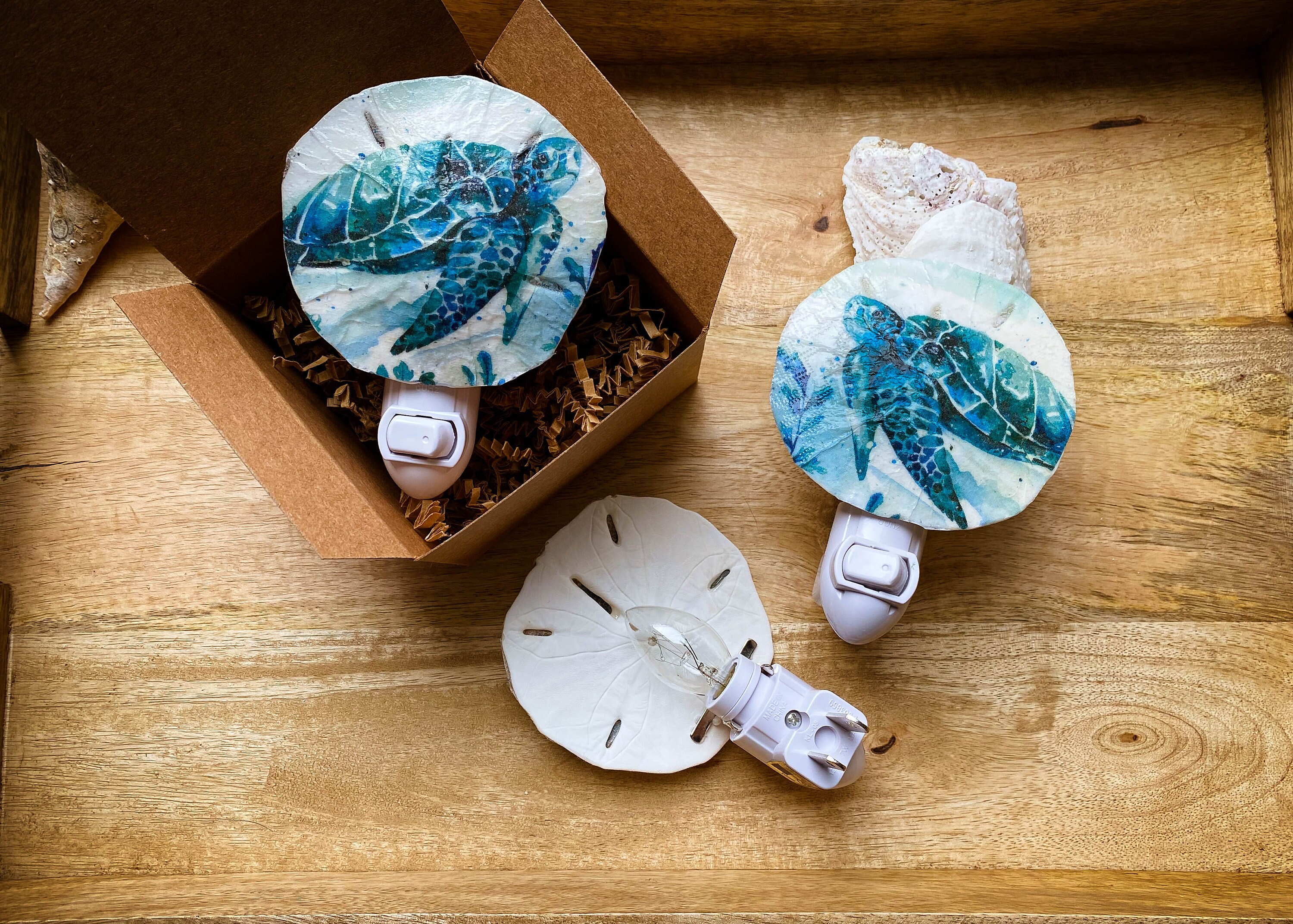 Sea Turtle Sand Dollar Plug in Night Light - Etsy