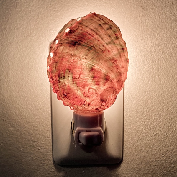 Seashell Night Light - Etsy