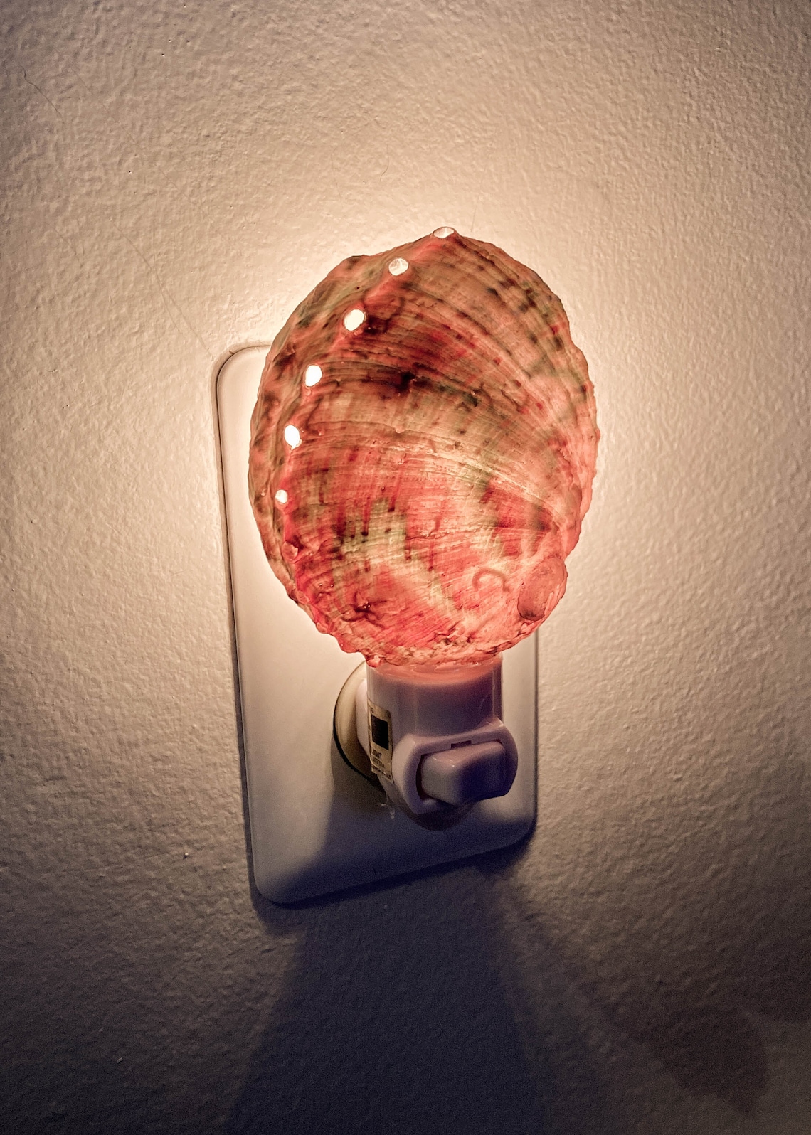 Abalone Shell Night Light - Etsy