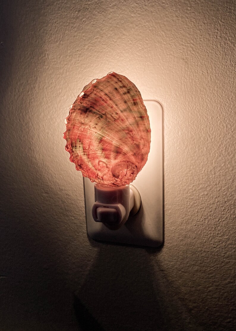 Abalone Shell Night Light - Etsy
