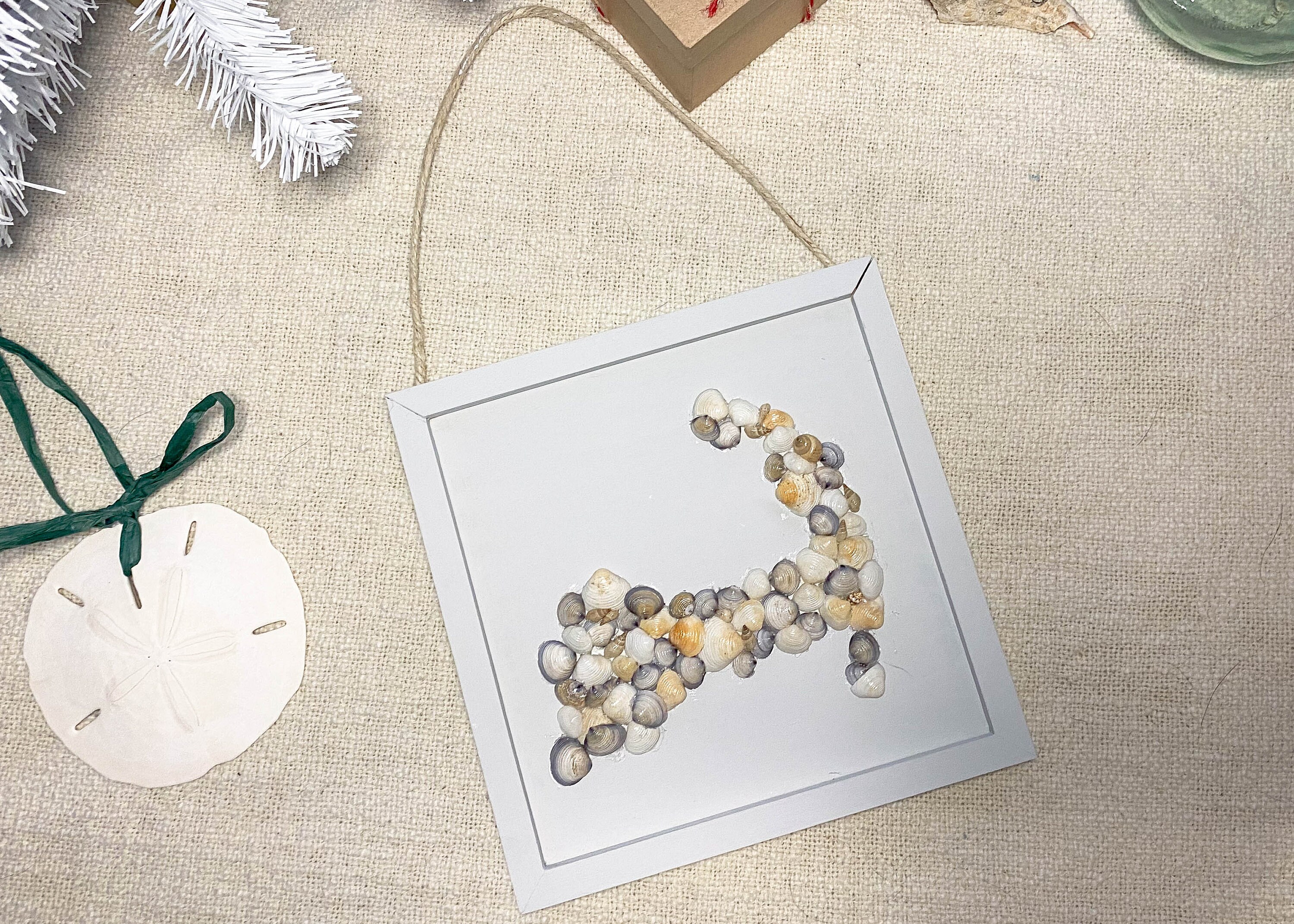 Cape Cod Shaped Shell Wall Decor 8 X 8 - Etsy