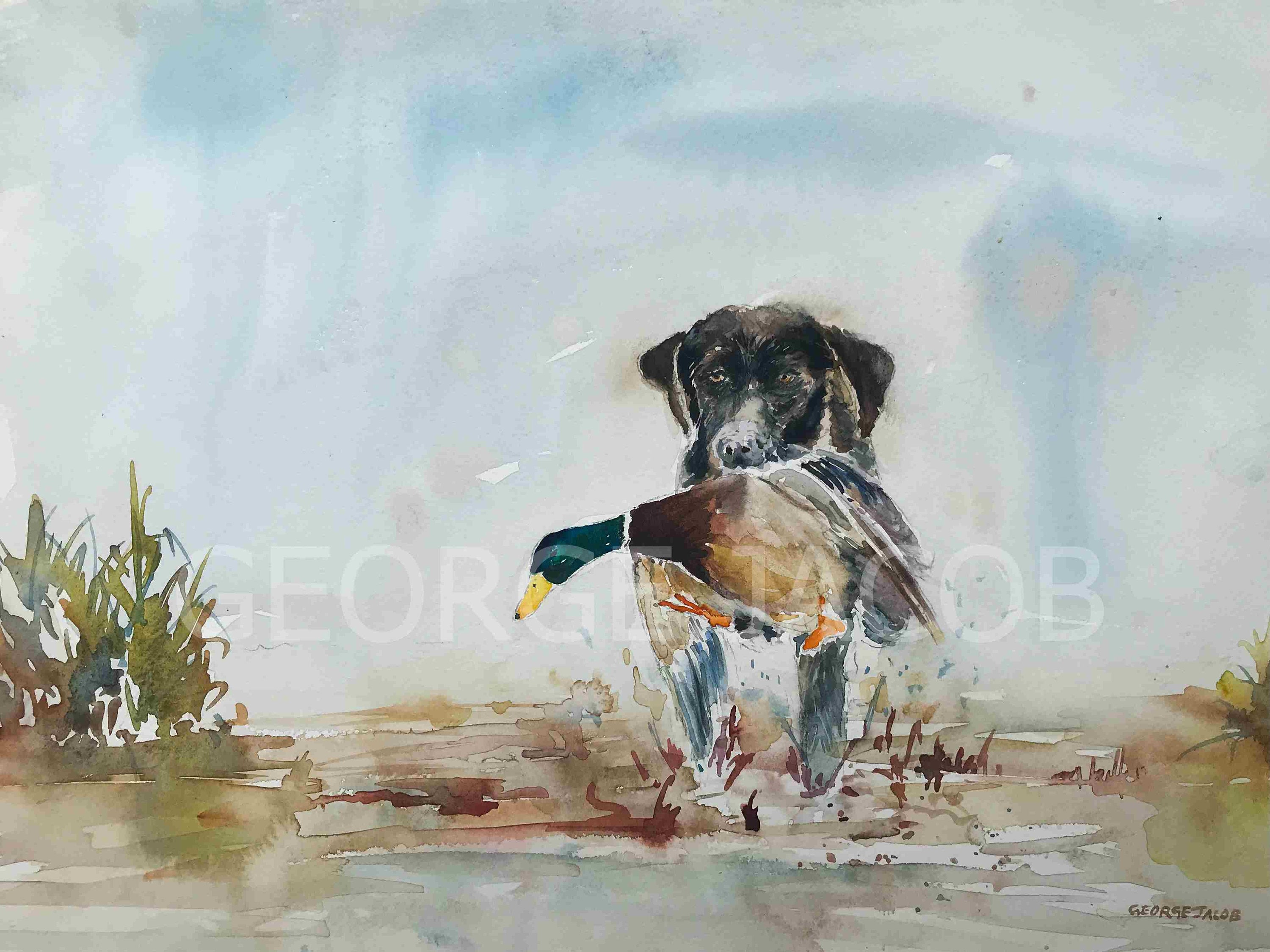 Bird Hunting Paintings