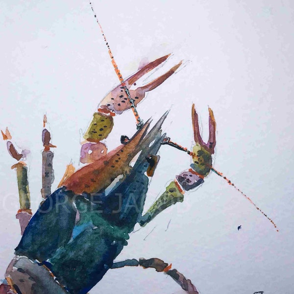 Crayfish - Etsy