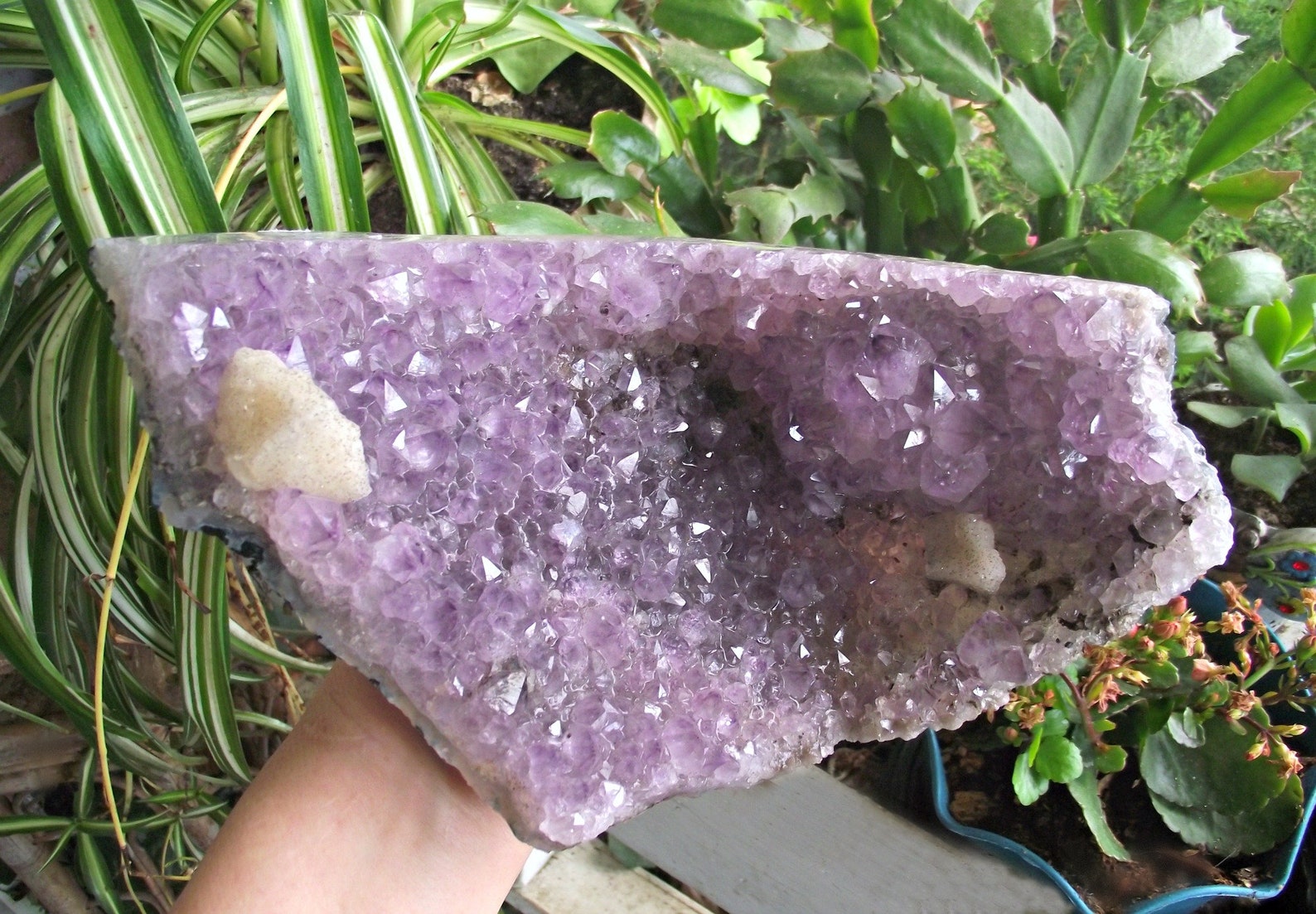 Amethyst cluster/Amethyst slice/ Amethyst Crystal/ | Etsy