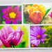 Blank Note Cards, Photo Notecards, Floral Stationery Set, Flower ...
