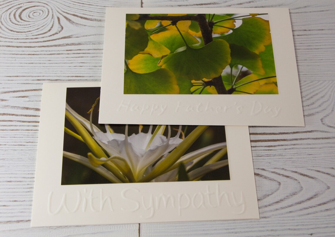 Assorted Hand Embossed Greeting Cards With Original Photographs ...