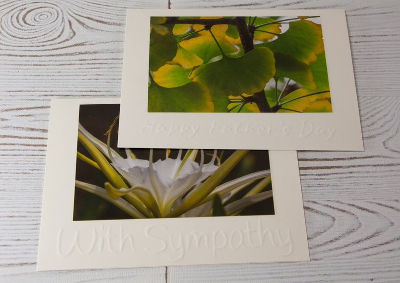 Assorted Hand Embossed Greeting Cards With Original Photographs ...