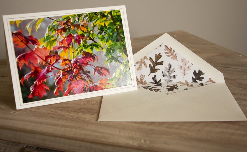 Set of Four Fall Themed Note Cards, Fall Lined Envelopes, Thanksgiving ...