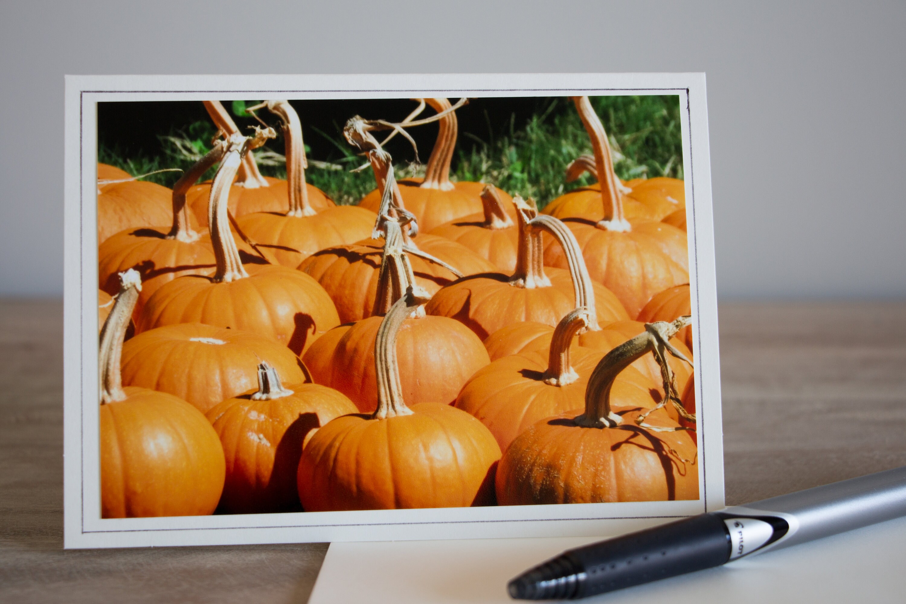 Set of Four Fall Themed Note Cards, Fall Lined Envelopes, Thanksgiving ...