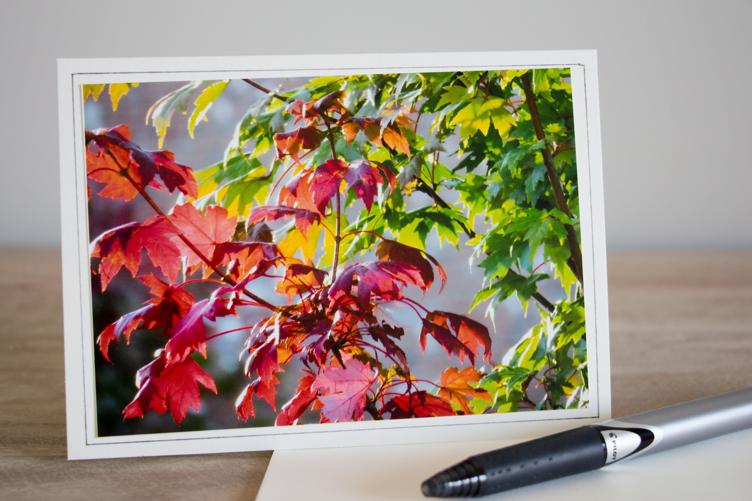 Set of Four Fall Themed Note Cards, Fall Lined Envelopes, Thanksgiving ...