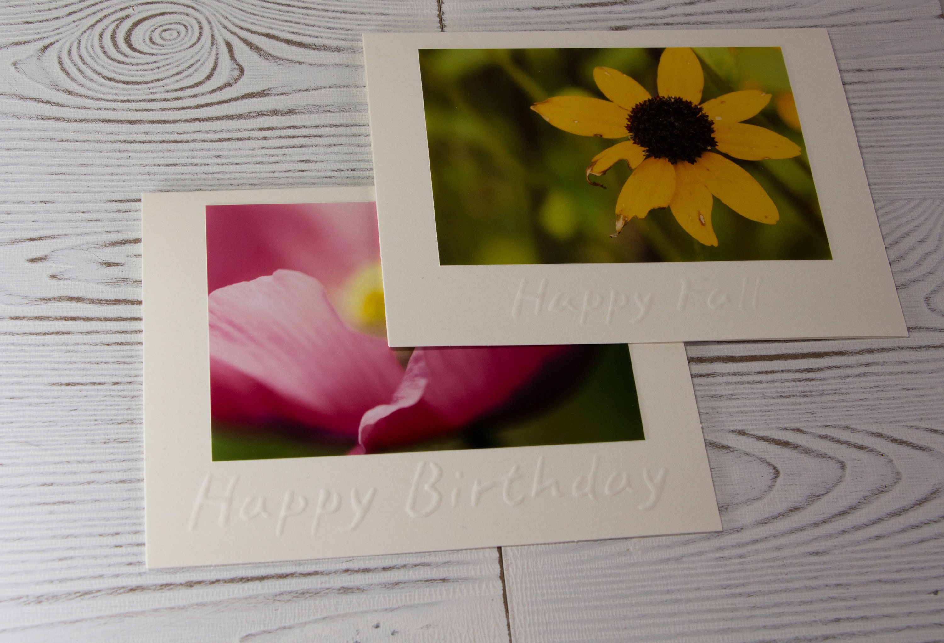 Assorted Hand Embossed Greeting Cards With Original Photographs ...