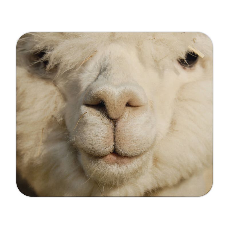 Alpaca Mouse Pad - Etsy
