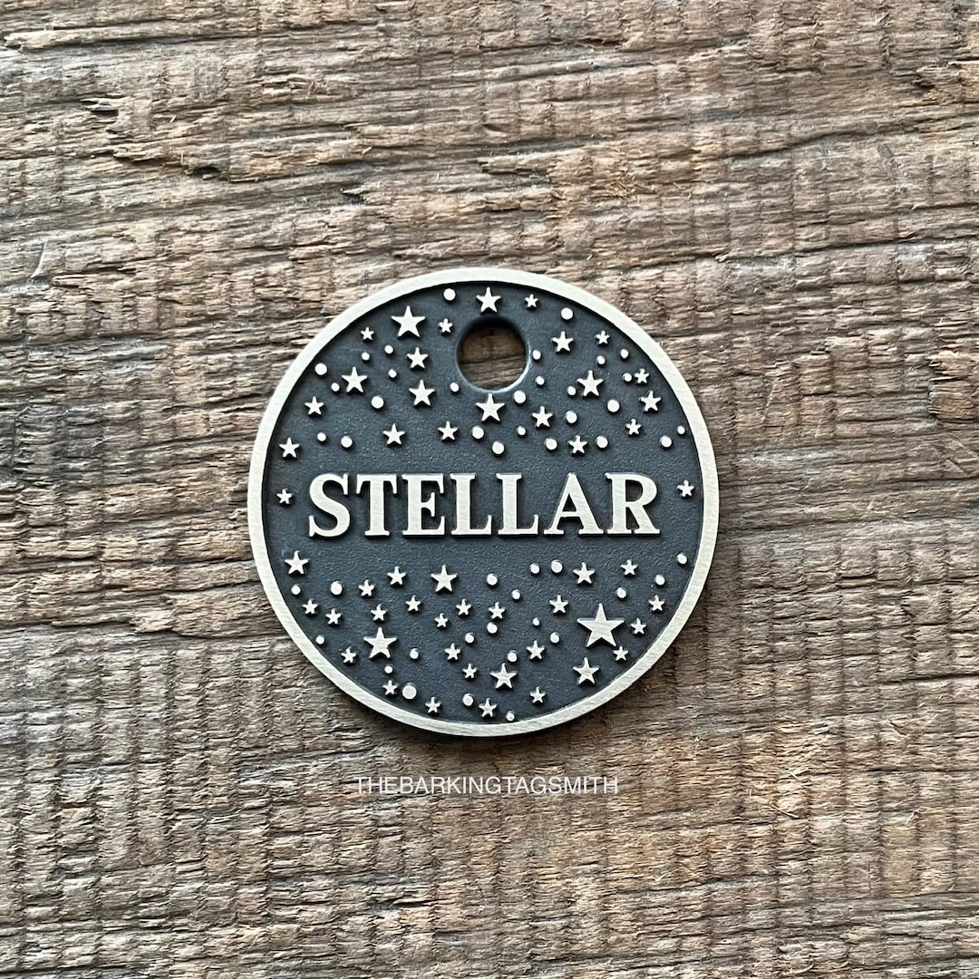 Luna Dog Tag, Pet ID Tag, Personalized Dog Tag, Microchip Pet Tag ...