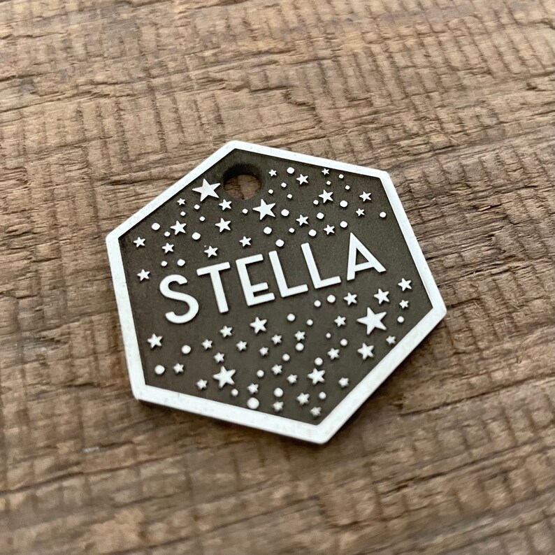 Luna Dog Tag, Pet ID Tag, Personalized Dog Tag, Microchip Pet Tag ...