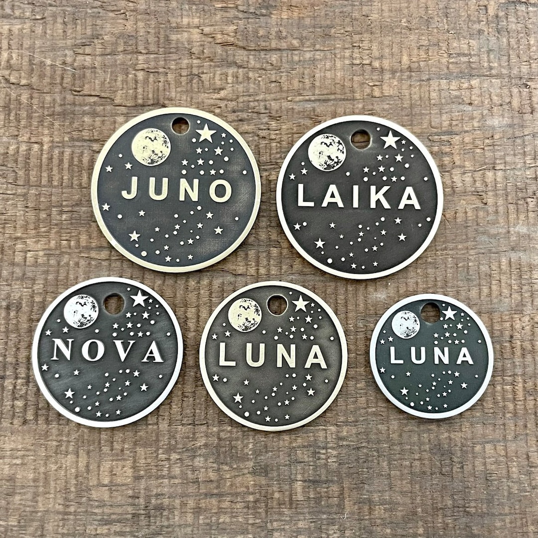 Luna Dog Tag, Pet ID Tag, Personalized Dog Tag, Microchip Pet Tag ...