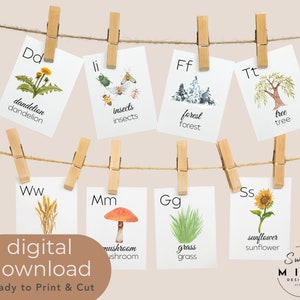 Printable Nature Alphabet Cards, Preschool Printables, Homeschool ...