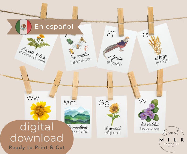 ALPHABET FLASH CARDS, Alphabet Cards, Back to School, Printable Spanish ...