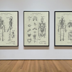 Anatomy Patent Print Set of 3, Anatomy Art, Doctor Gifts, Medical ...