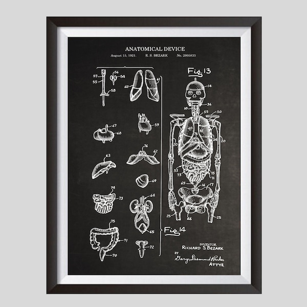 Doctor Human Body - Etsy