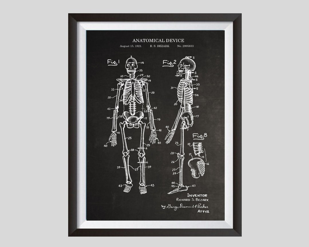 Anatomical Skeleton Patent Print: Medical Anatomy Art (digital Download ...