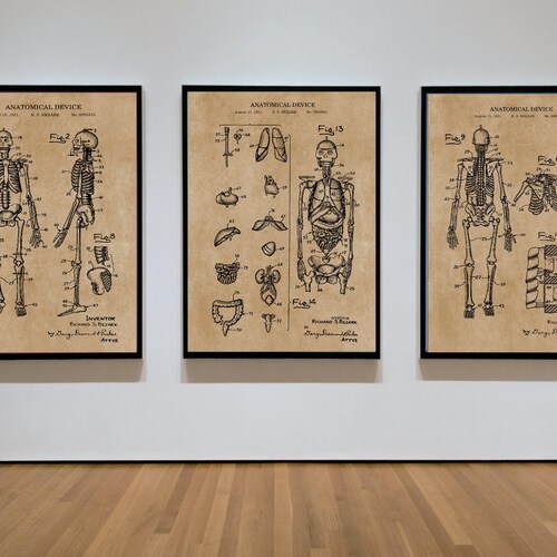 Framed Anatomy Print Set of 2 Framed Art Anatomy Posters - Etsy