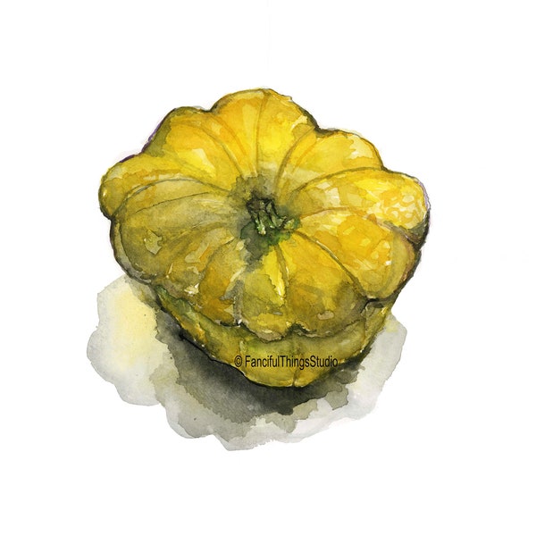 Patty Pan Squash Plants - Etsy