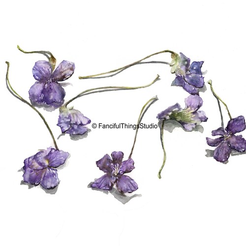 Vintage 1950's Lefton 'sweet Violets 2891' - Etsy