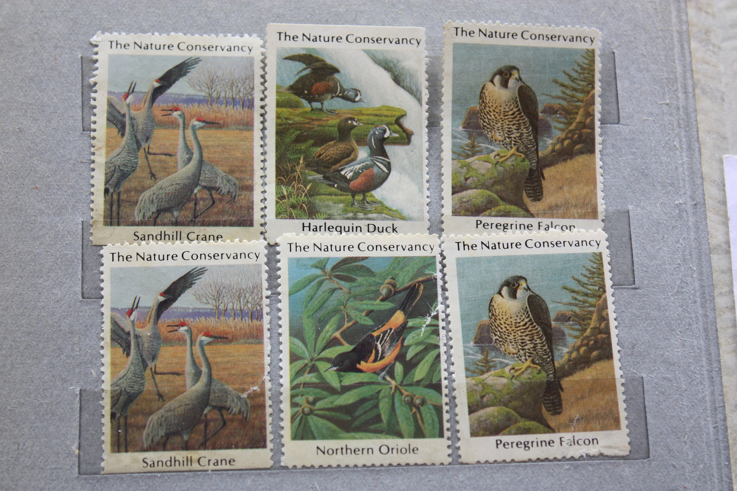 USA - National Wildlife Federation - Postage Stamp (set of 4), Vintage ...